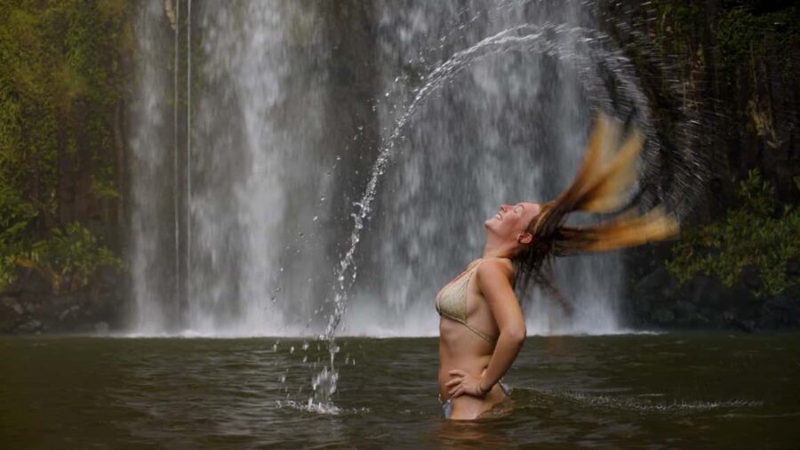Atherton Tablelands: Lakes, Waterfalls, Rainforest Day Tour - Why This Tour Works Well
