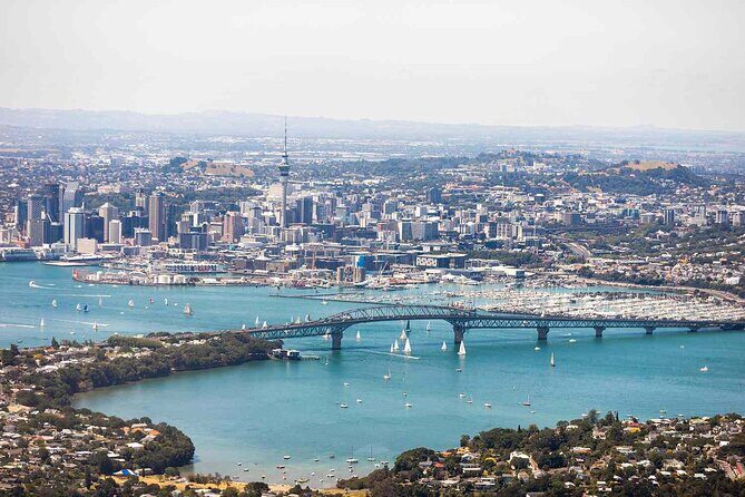 Auckland Airport AKL to Auckland/NorthShore/Middlemore/Chinatown - Why This Transfer Service Offers Good Value