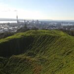 Auckland Airport and City Transfers (To or from) - Authentic Insights from Travelers