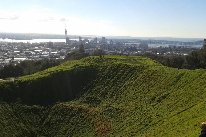 Auckland Airport and City Transfers (To or from) - Authentic Insights from Travelers