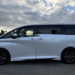 Auckland Airport/CBD Transfer 1-7 traveler (VIP/Luxury Vehicles) - Meeting Points and Accessibility
