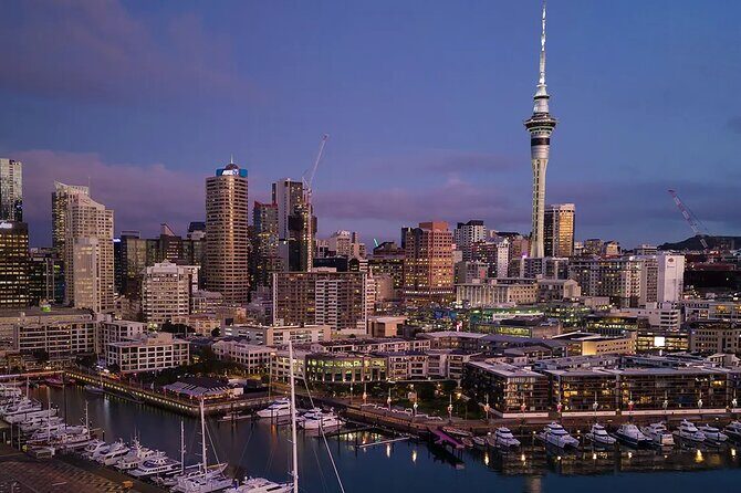 Auckland Airport Private Transfer - Final Thoughts