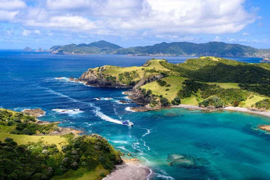 Auckland: Bay of Islands Day Tour with Dolphin Cruise - A Comprehensive Look at the Experience