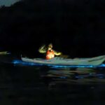 Auckland: Bioluminescence Kayak Tour - What’s Included and What to Consider