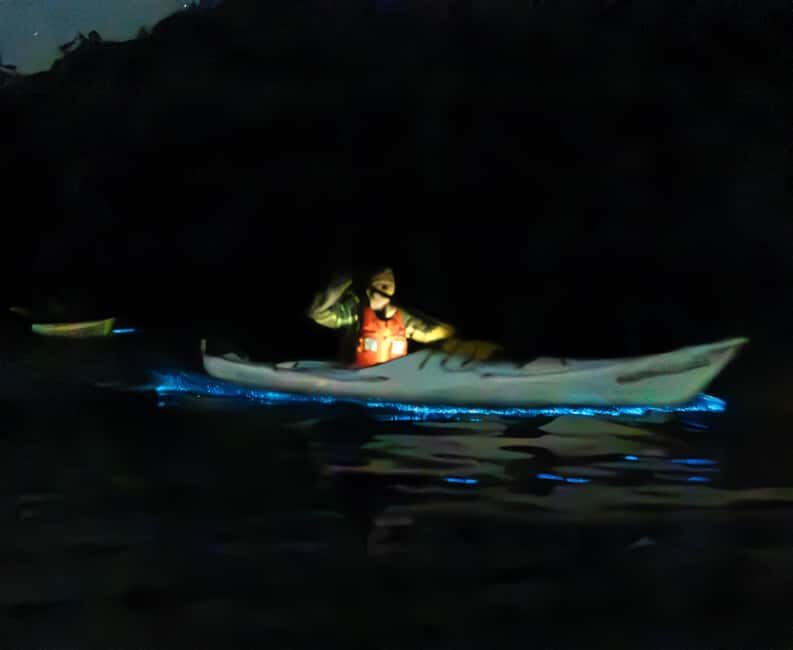 Auckland: Bioluminescence Kayak Tour - What’s Included and What to Consider