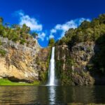 Auckland Birdwatching and Hiking Private Tour - Who Should Consider This Tour?