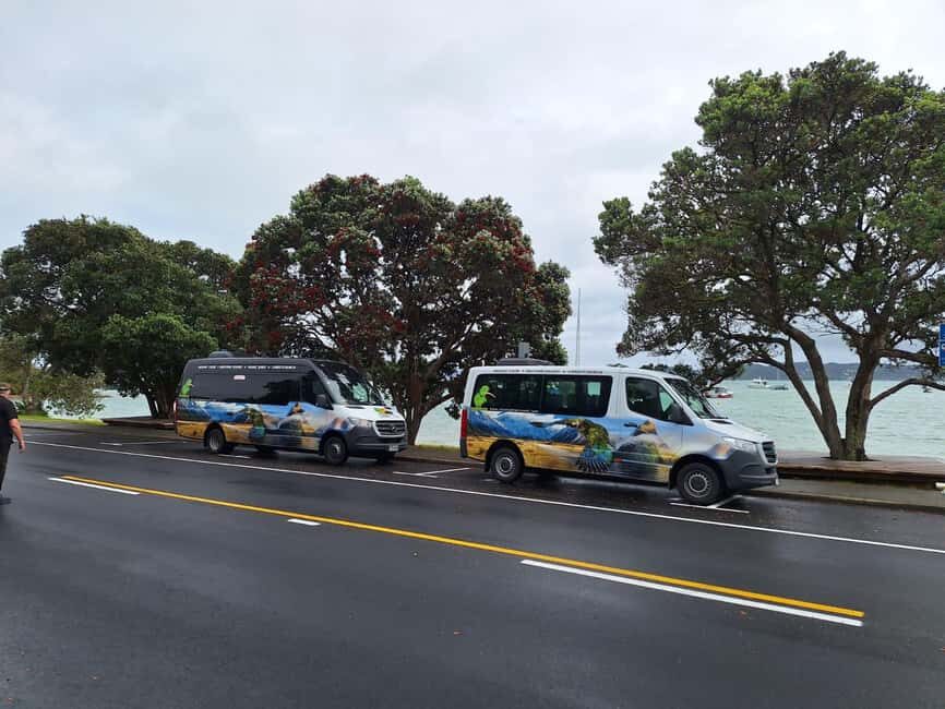 Auckland: Cathedral Cove and Coromandel Small Group Tours - The Value of the Tour