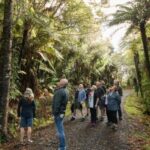 Auckland City, Beaches & Rainforest Premium Small Group Tour - Introduction to Auckland’s Contrasts