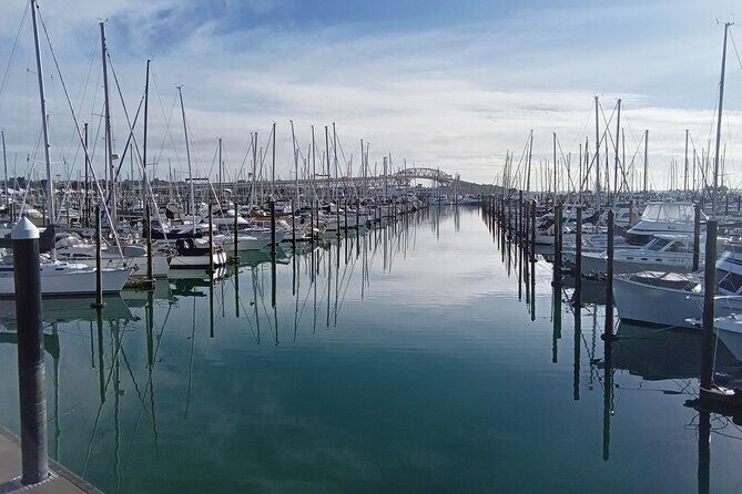Auckland City Halfday Private Tour - Who Should Book This Tour?