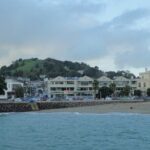 Auckland City Halfday Tour - Who Should Consider This Tour?