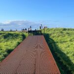 Auckland City Highlights and Hidden Gems Half Day Tour - Authentic Experiences and Authenticity of the Tour