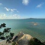 Auckland: City Highlights and Native Forest Experience - Who This Tour Is Best For