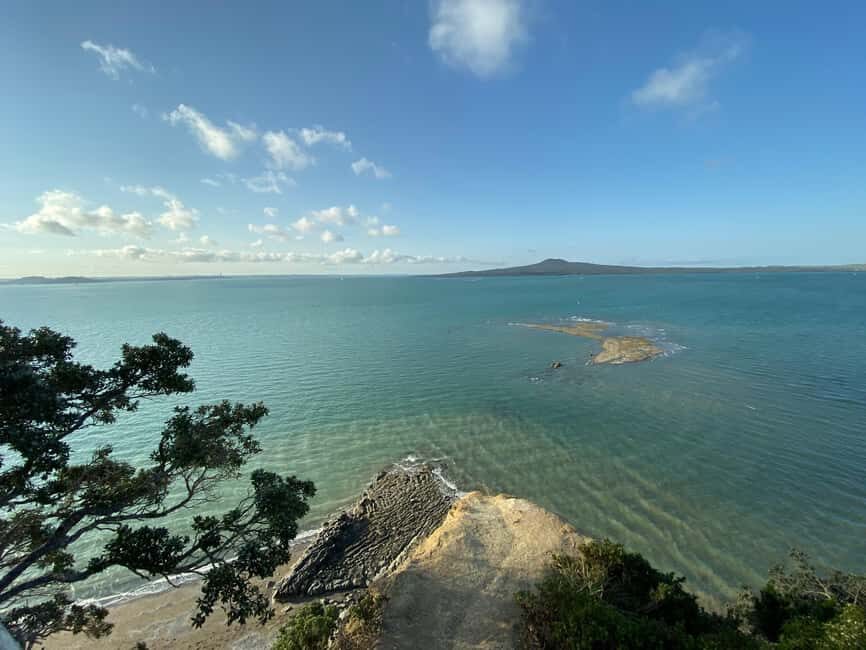 Auckland: City Highlights and Native Forest Experience - Who This Tour Is Best For