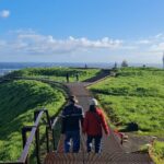 Auckland City Highlights Half Day Tour - Why Choose the Auckland City Highlights Half Day Tour?