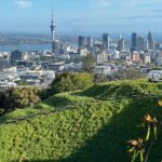 AUCKLAND CITY HIGHLIGHTS Half Day Tour with Hotel Pickup - Who Should Book This Tour?