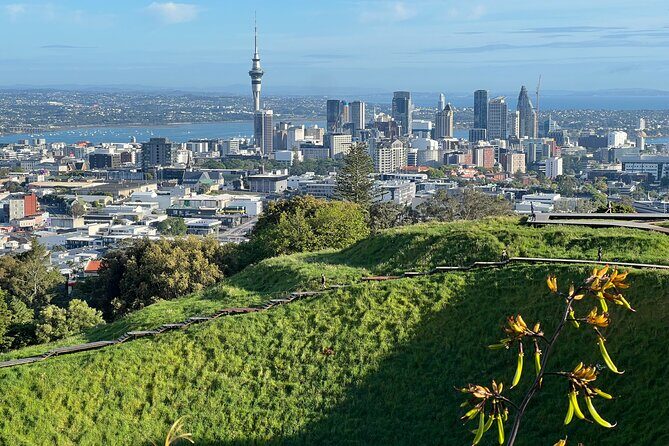 AUCKLAND CITY HIGHLIGHTS Half Day Tour with Hotel Pickup - Who Should Book This Tour?