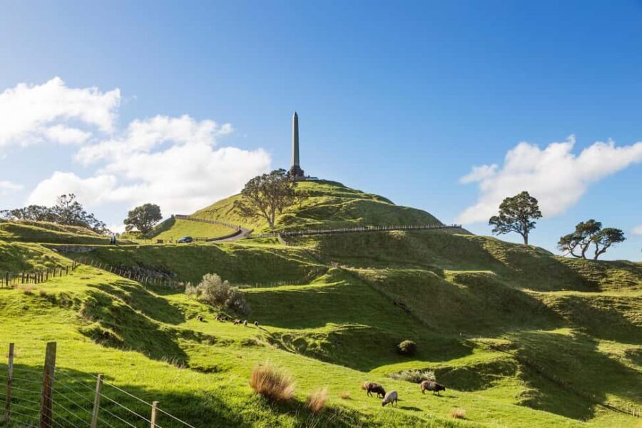 Auckland: City Highlights Private Tour - What Makes This Tour Stand Out?