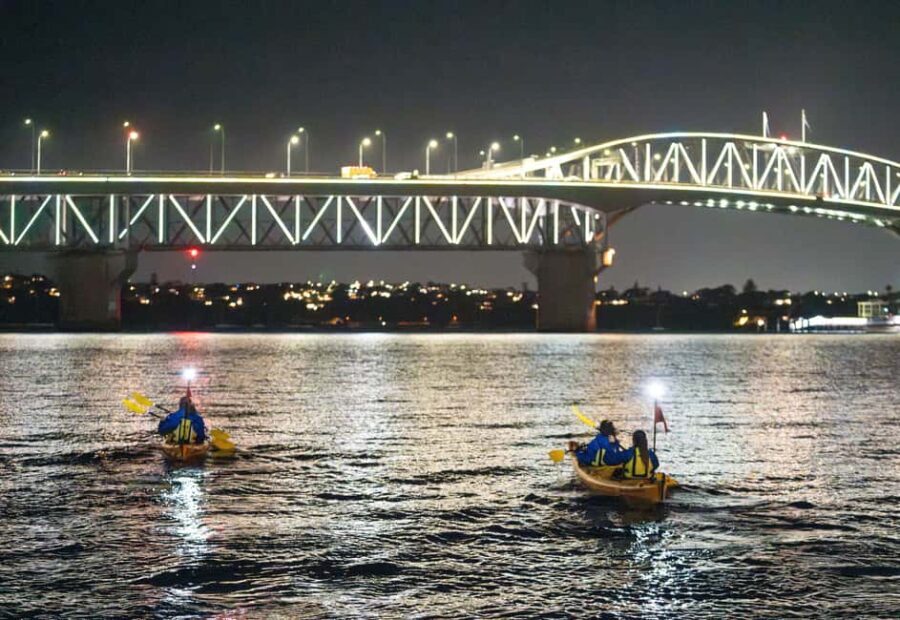 Auckland: City Lights Night Kayak Tour - What’s Included and What to Expect