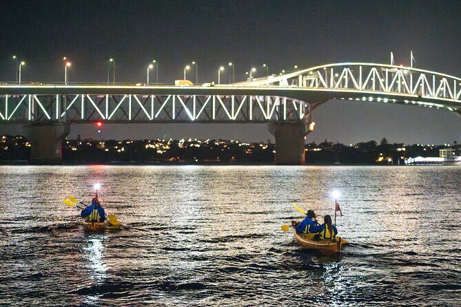 Auckland City Lights Night Kayaking Tour - Authentic Feedback and Real-Life Experiences