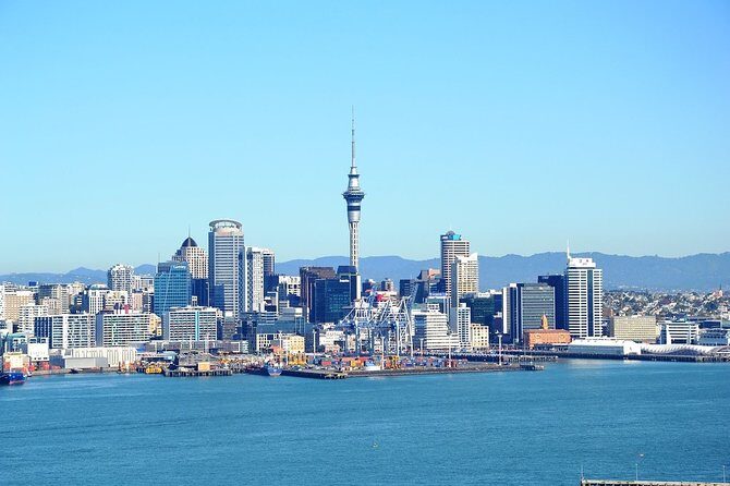 Auckland City & Native Forest Experience - Fully Guided Day Tour - Itinerary Breakdown: What Makes Each Stop Special