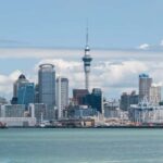 Auckland City & Native Kiwi Encounter Half Day Tour - The Practical Details