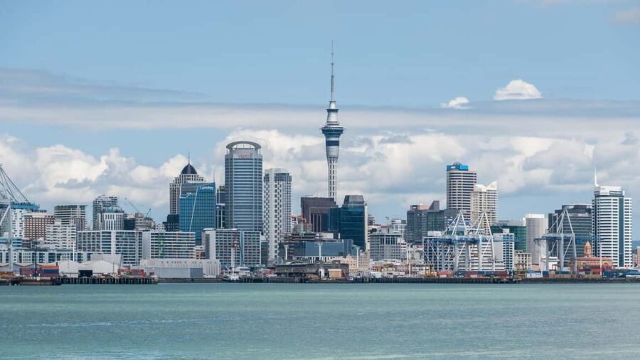 Auckland City & Native Kiwi Encounter Half Day Tour - The Practical Details