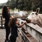 Auckland: City Sights & Sheep Shearing with Lunch - Practical Tips for Participants