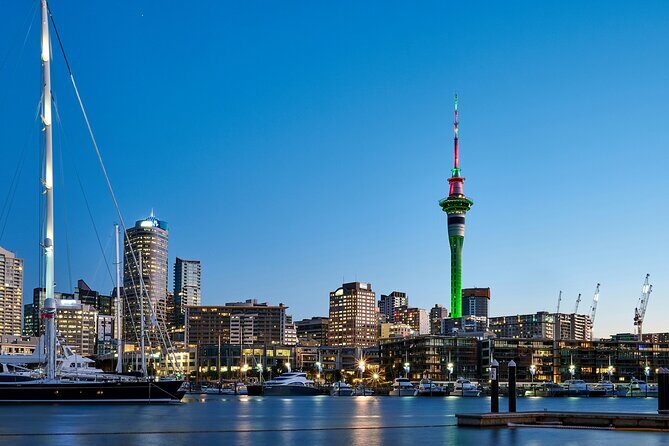 Auckland City Top Sights Half Day Tour - Small Group - An In-Depth Look at the Itinerary