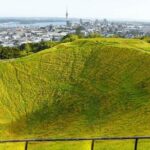 Auckland City Tour  Fast, Fun & Full of Views! (Half-Day) - Final Thoughts