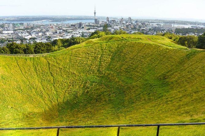 Auckland City Tour  Fast, Fun & Full of Views! (Half-Day) - Final Thoughts