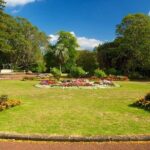 Auckland Coastal Experience - Small Group City & Beach Tour Incl. Wine Tasting - Final Thoughts: Who Should Book This Tour?