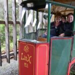 Auckland: Coromandel Beach, Caves & Forest Private Tour - The Itinerary: A Day of Diverse Experiences