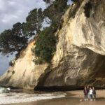 Auckland: Coromandel Day Tour including Hot Water Beach - The Driving Creek Railway: A Narrow-Gauge Adventure
