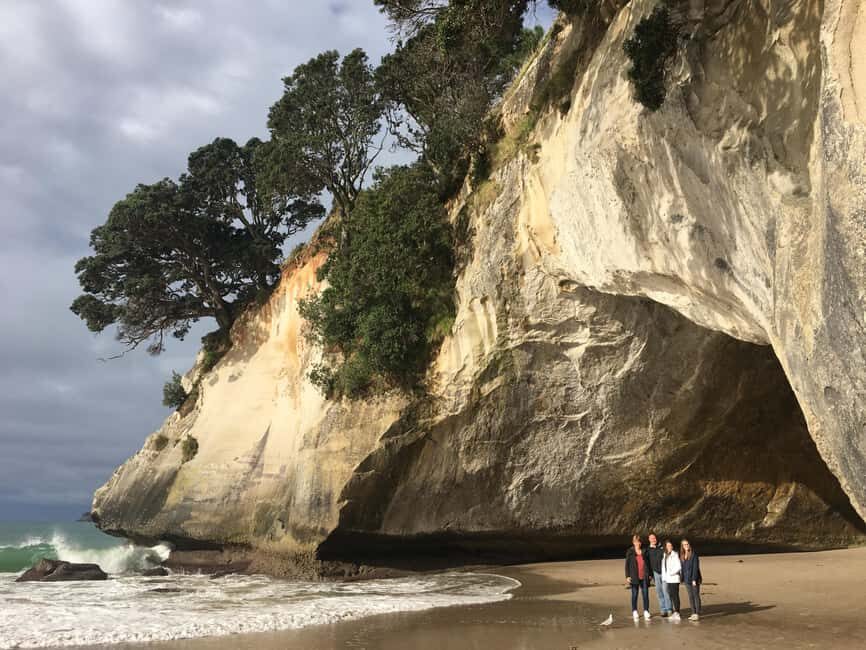 Auckland: Coromandel Day Tour including Hot Water Beach - The Driving Creek Railway: A Narrow-Gauge Adventure