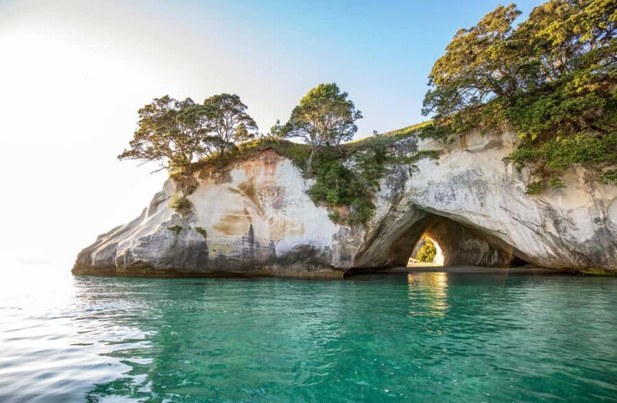 Auckland: COROMANDEL Driving Creek & CATHEDRAL COVE day tour - The Value of This Tour