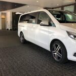 Auckland Cruise/Wharf & Airport Transfers - Who Is This Transfer Best For?