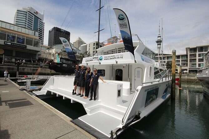 Auckland Dolphin and Whale Watching Eco-Safari Cruise - What to Expect on the Tour