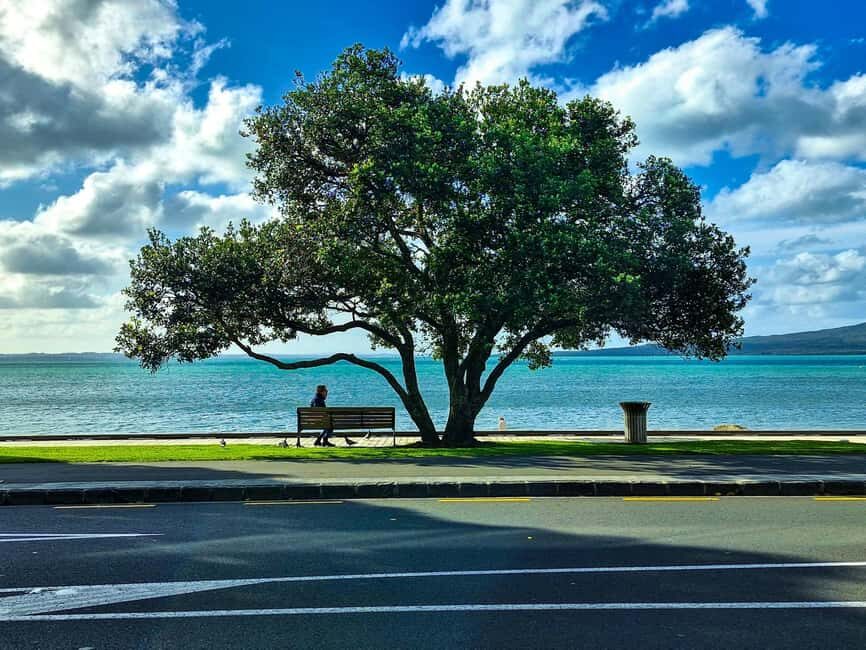 Auckland: Double Decker City Tour with Wine Tastings & Food - Value Analysis: Is It Worth the Price?