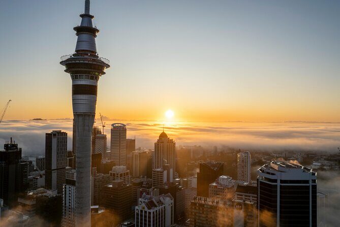 Auckland Full Day Attractions & Museums Tour - The Practical Side: What’s Included and What’s Not