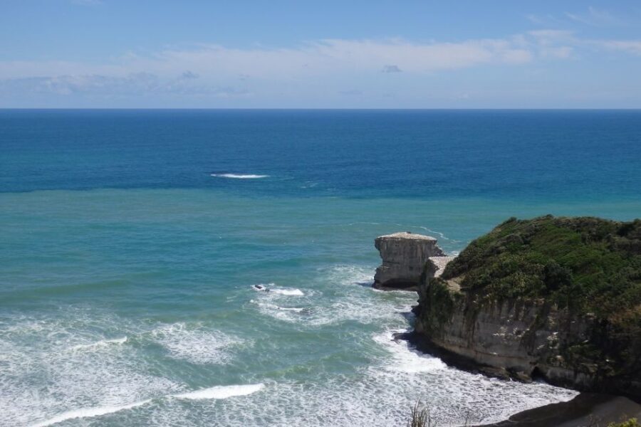 Auckland: Full-Day City Highlights Tour - The Value of This Tour