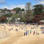 Auckland: Full-Day City Tour - Frequently Asked Questions