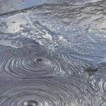 Auckland: Full-Day Trip to Rotorua Geothermal Valley - Final Thoughts: Who Should Consider This Tour?