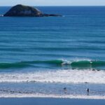 Auckland: Group Surfing Lesson with Muriwai Surf School - Practical Details and Value