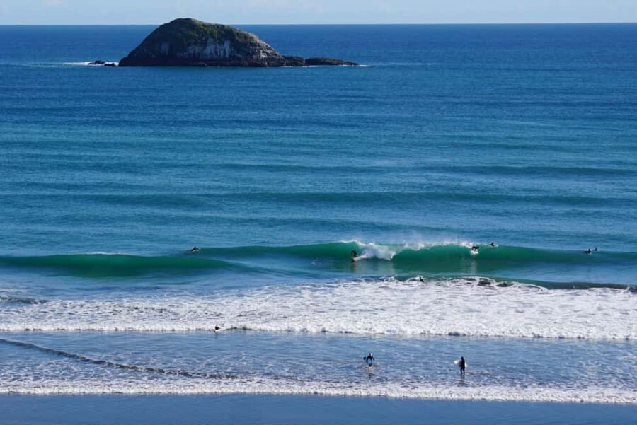 Auckland: Group Surfing Lesson with Muriwai Surf School - Practical Details and Value