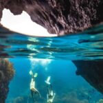 Auckland: Guided Snorkeling and Island Exploration Tours - Itinerary Breakdown and What Youll Experience