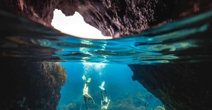 Auckland: Guided Snorkeling and Island Exploration Tours - Itinerary Breakdown and What Youll Experience