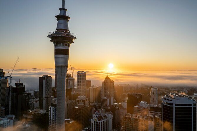 Auckland Half Day Attractions and Museums Tour - Key Points