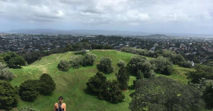 Auckland: Half-Day Auckland Volcanoes Tour - Itinerary Breakdown: What’s Included