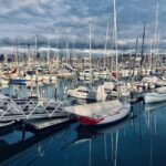 Auckland Half Day City Tour - Heart of Auckland - Who Will Love This Tour?
