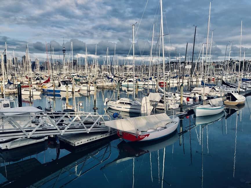 Auckland Half Day City Tour - Heart of Auckland - Who Will Love This Tour?